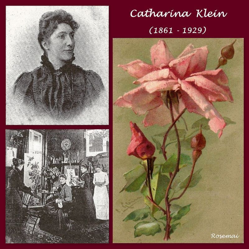 peintre catharina klein - Page 2