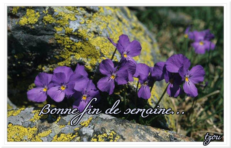 bon week end - Page 2